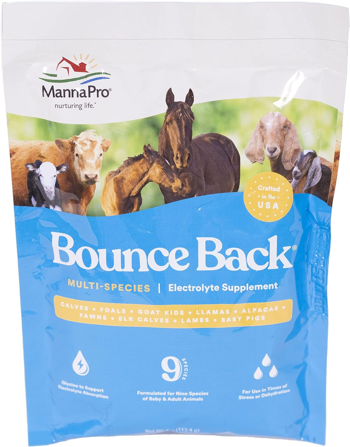 Manna Pro Bounce Back Multi-Species Electrolyte Supplement | 4Oz ...