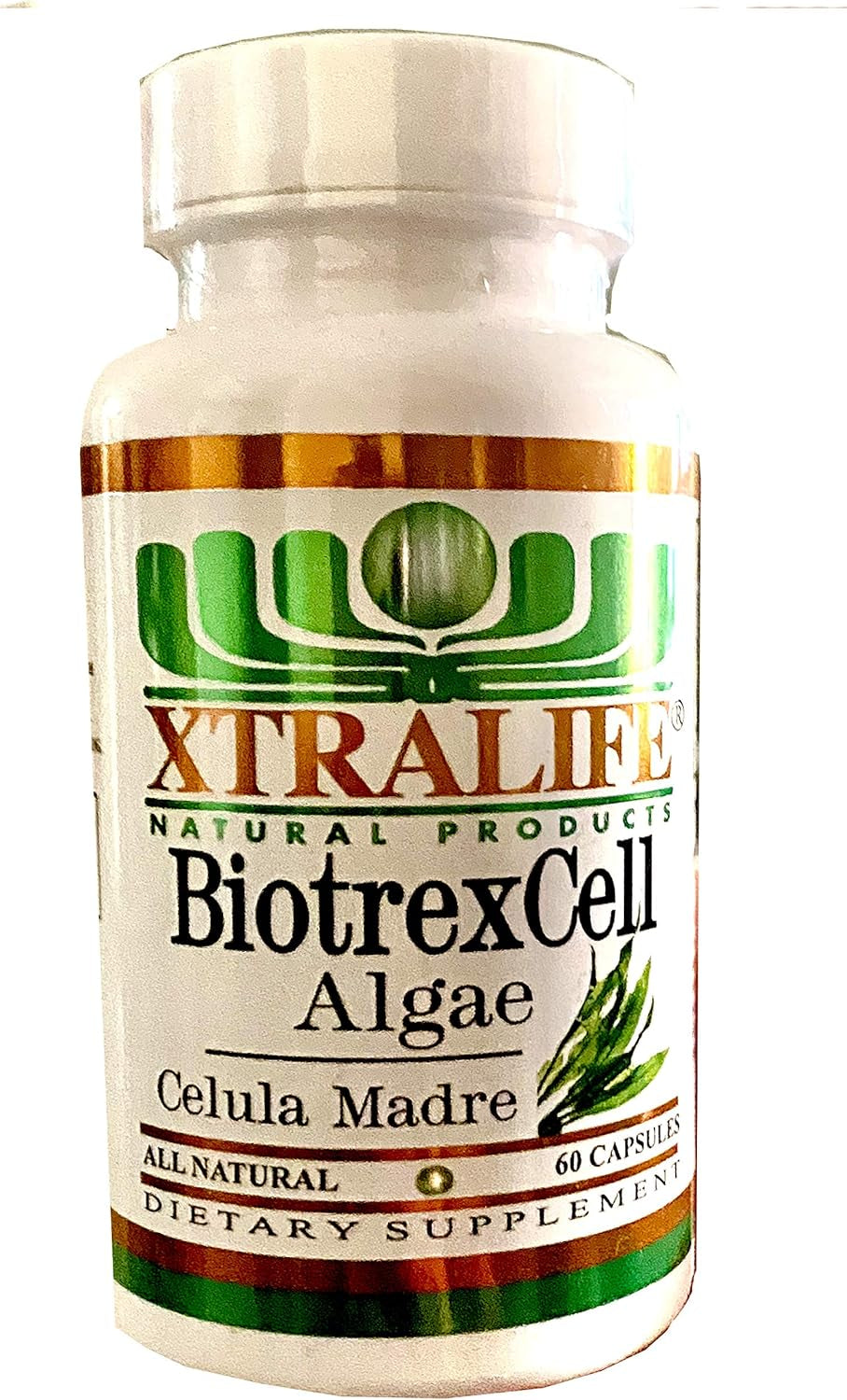Bioxtrexcell Celulas Madre 60 Caps 900Mg Stem Enhancer Cell, Celulas M ...