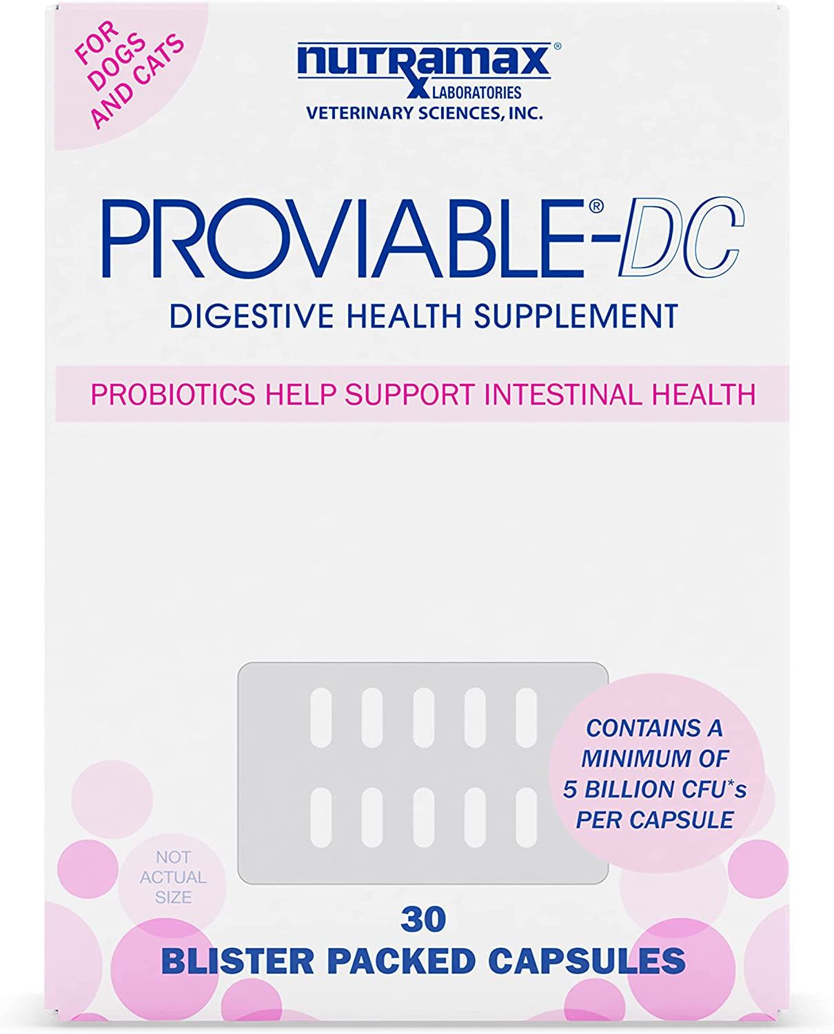 Proviable Digestive Health Supplement Multi-Strain Probiotics and Preb ...